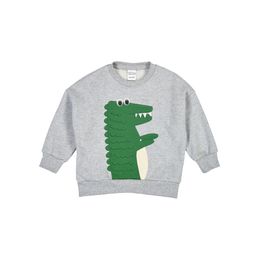 Fred's World by GREEN COTTON Fred's World By Green Cotton Sweatshirt Jungen Gr&ouml;&szlig;e 116 creme / hellgrau / gr&uuml;n / wei&szlig;