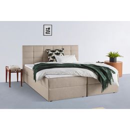 Boxbett Inosign "Ovalo", beige, creme, B:214cm L:230cm, Komplettbetten, Boxspringbett, wahlweise mit Bettkasten, in H2, H3 & H4 erhältilich, Topseller