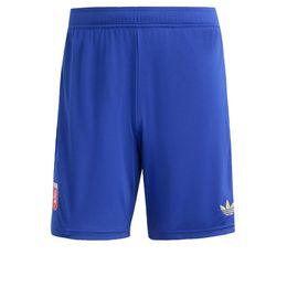 adidas Performance Workout Pants 'Olympique Lyonnais' male Blue size M