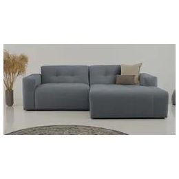 Ecksofa Inosign "Tapley", grau (dunkelgrau), B:221cm H:73cm T:154cm, 100% polyester, Sofas, Breite 221 cm, L-Form, Struktur fein, mit Knopfsteppung, bodentief