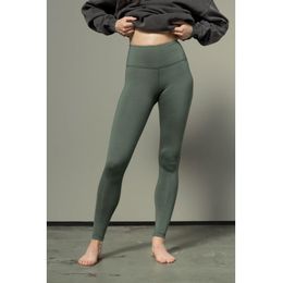 Hey Honey Thermo Leggings in green | Gr.: S