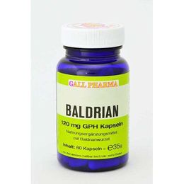 Hecht-Pharma Baldrian 120 mg Gph Kapseln 90 St