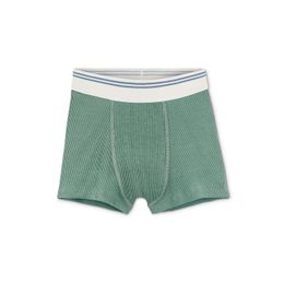 Tchibo - 3 Slipboxer - Jungen - Gr. 98/104 - hellgrau