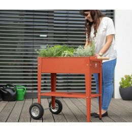 Herstera Garden Kr&auml;uterfabrik - 75x35x80cm - rostrot -