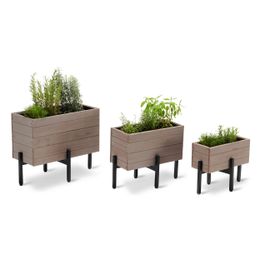 Tchibo - Blumenkasten &raquo;Jonte&laquo; - schwarz
