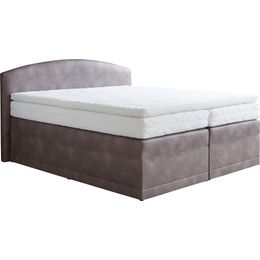 Boxspringbett, grau, B:215cm L:210cm, Westfalia Schlafkomfort, Komplettbetten