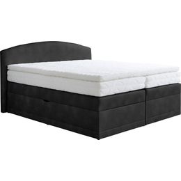Boxspringbett, schwarz, B:195cm L:210cm, Westfalia Schlafkomfort, Komplettbetten