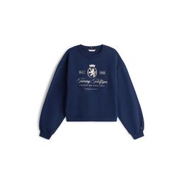 Tommy Hilfiger Sweatshirt female Blue size XXS