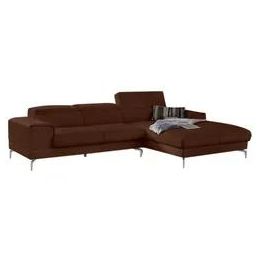 Ecksofa W.Schillig "piedroo, Designsofa mit tollem Sitzkomfort, bequem und elegant, L-Form", braun (tabacco z69), B:303cm H:70cm T:193cm, Longlife Xtra-Leder Z69: Das feinnarbige, gedeckte Softleder Z69 besticht durch seine außergewöhnliche Weichheit im trendigen »Vintage-Look«, Hautstärke 0, 9 - 1, 1 mm, Sofas, Kopfteilverstellung, wahlweise mit Sitztiefenverstellung, Breite 303cm