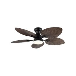 Globo lighting Deckenventilator "ELISE" in black | Gr.: onesize