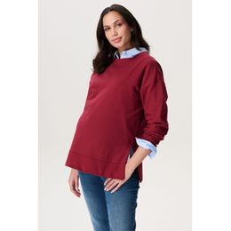 Noppies Still-Pullover Alta - Backprint in Tibetan Red | Gr.: XS