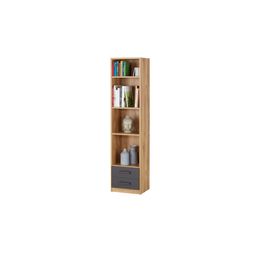 Regal Liverpool - holzfarben - 47 cm - 198 cm - cm 38,0 - Sconto