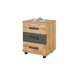 Rollcontainer Liverpool - holzfarben - 46 cm - 58 cm - cm 40,0 - Sconto