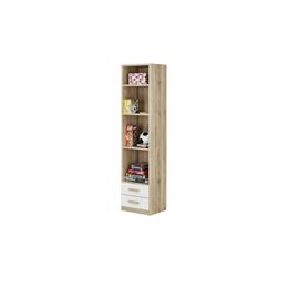 Standregal Cariba - holzfarben - 47 cm - 197 cm - cm 38,0 - Sconto