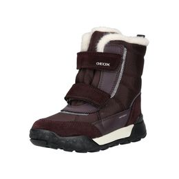 Geox Stiefel in Burgundy | Gr.: 32
