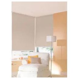 Seitenzugrollo SUNLINES "One size Style uni" Gr. 8, beige (creme), B:82cm H:180cm, Kunststoff, Metall, Polyester, Rollos, Made in Germany