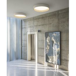 Vibia Duo 4872 Deckenleuchte Creme 2700K