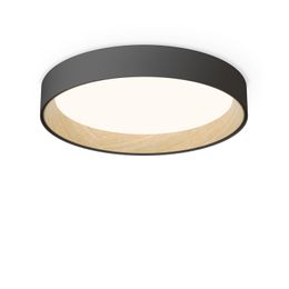 Vibia Duo 4872 Deckenleuchte Grafit matt 2700K