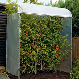 Brühwiler Maschinen Tomatenhaus Stahlrahmen