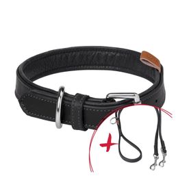 pawberry Set Gassi XS-M Hundehalsband + Hundeleine Melun