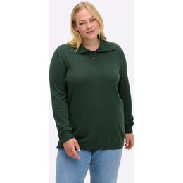 Rollkragenpullover sheego "Pullover", Damen, Gr. 48/50, moos, 50% Baumwolle, 50% Polyacryl, unifarben, Pullover