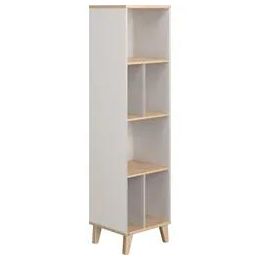 Standregal Paidi "FIENE in Grau mit 6 offenen Fächern, 48x181x40cm", grau (kieselgrau, scandinavian wood), B:181 H:48 T:40, Regale, stabiles und langlebiges Regal aus Holz, geprüfte Qualität