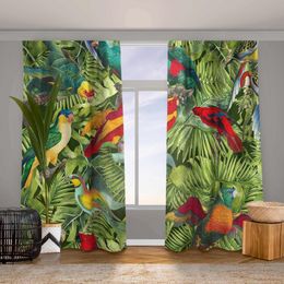 Bilderwelten Vorhang Bunte Collage - Papageien im Dschungel - blickdichte Gardine Botanik Tropical Illustration Tiere Wohnzimmer Schlafzimmer Küche Bad Badezimmer