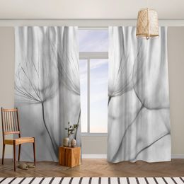 Bilderwelten Vorhang In einer Pusteblume Schwarz-Weiß - blickdichte Gardine Blumen Floral Schwarz-Weiß Wohnzimmer Schlafzimmer Küche Bad Badezimmer Schwarz/Weiß