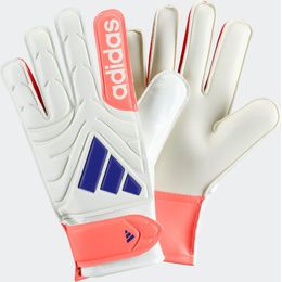 Torwarthandschuhe adidas Performance "COPA GL CLB J", Herren, Gr. 3, sanftes weiß, lucid blau, signal coral, Handschuhe