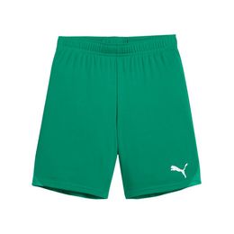 Puma teamGOAL Short Kids Grün Weiss F05, Größe 152, Kinder, Bekleidung - 11teamsports
