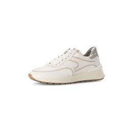 Gabor Fashion Schnürhalbschuh in beige | Gr.: 39