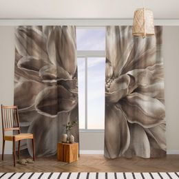 Bilderwelten Vorhang Bronzener Dahlientraum - blickdichte Gardine Blumen Floral Wohnzimmer Schlafzimmer Küche Bad Badezimmer Jugendzimmer Braun