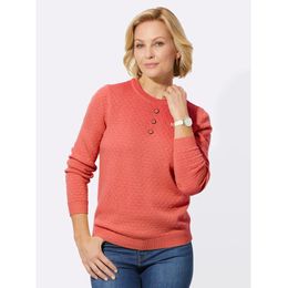WITT WEIDEN Strickpullover in koralle | Gr.: 38