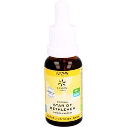 HAGER PHARMA Bachblüten No.29 Star of Bethlehem Bio 20 ml