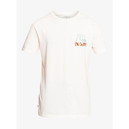 Quiksilver T-Shirt »Blank Canvas Outsiders« Antique White L L Ärmel: kurzärmlig