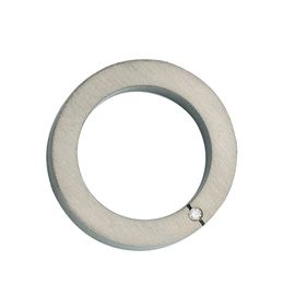 Jobo Damen Runder Anhänger "Titananhänger Ring Kreis 28 mm", SI = kleine Einschlüsse, Diamanten Titantitanfarben, Diamanten, Titan, Schmuckanhänger,