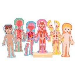 Konturenpuzzle HAPE "Menschlicher Körper", bunt, Puzzles, KinderB:29,2cm T:4,2cm, Holz, Papier, B:29,2cm T:4,2cm
