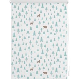 Seitenzugrollo LICHTBLICK ORIGINAL "Klemmfix Motiv Okko" Gr. 3, blau (weiß, türkis, weiß), B:70cm H:150cm, Polyester, Rollos, bedruckt
