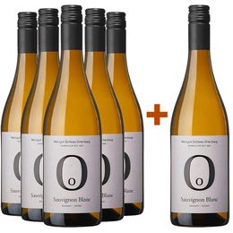 Schloss Ortenberg 5+1 Paket Sauvignon Blanc 2024 Trocken - Baden &ndash; Probierpaket Qualit&auml;tswein