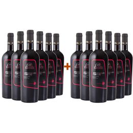 Il Quercetto 6+6 Paket Montepuciano D'Abruzzo Montepulciano 2015 Trocken - Abruzzen &ndash; Probierpaket DOC