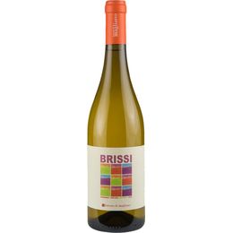 Fattoria di Magliano Brissi Maremma Toscana Ansonica 2023 Trocken - Toskana &ndash; Wei&szlig;wein DOC