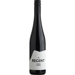 Weingut Philipps-M&uuml;hle Weingut Philipps-M&uuml;hle Regent 2024 Trocken - Mittelrhein &ndash; Rotwein Landwein Rhein