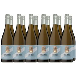 Fabiano Vini Box Promozionale Settimo Miglio delle Venezie Pinot Grigio 2024 Trocken - Venetien – Probierpaket DOC