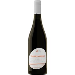 Terre Rosse di Adamo Lestani Traminer Aromatico Friuli Gew&uuml;rztraminer 2024 - Friaul &ndash; Wei&szlig;wein DOC
