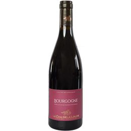 Le Chai de la Louve Pinot Rouge Bourgogne Noir 2023 Trocken - Burgund – Rotwein AOP