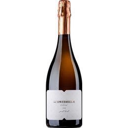 weingut schwedhelm Pinot brut Brut - Pfalz &ndash; Perl- & Schaumwein Sekt