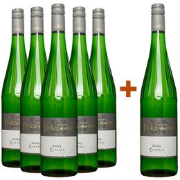 Weingut Bickelmaier 5+1 Paket Classic Rheingau Riesling 2023 Feinherb - &ndash; Probierpaket Qualit&auml;tswein