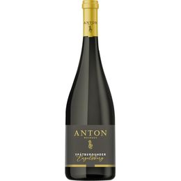 Weingut Anton Herxheimer Sp&auml;tburgunder 2020 Trocken - Engelsberg Pfalz &ndash; Rotwein Qualit&auml;tswein