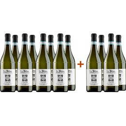 La Trava 8+4 Paket Langhe Favorita 2024 Trocken - Piemont &ndash; Probierpaket DOC