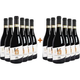 Uma Casanatura 6+6 Paket d'Abruzzo Colline Teramane BIO Montepulciano 2020 Trocken - Abruzzen &ndash; Probierpaket DOCG